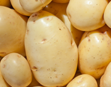 Potato Buying Guide: Sizes, Varieties, Grades | US Foods
