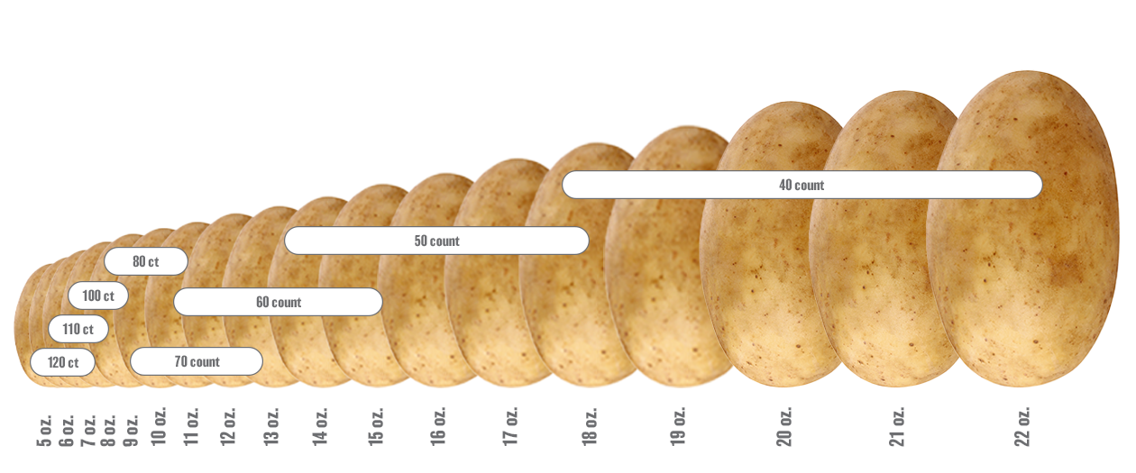 I Can Count To Potato I Can Count To Potato
