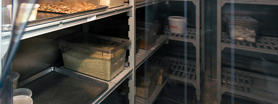 Keep Your Walk-In Restaurant Freezer Organized