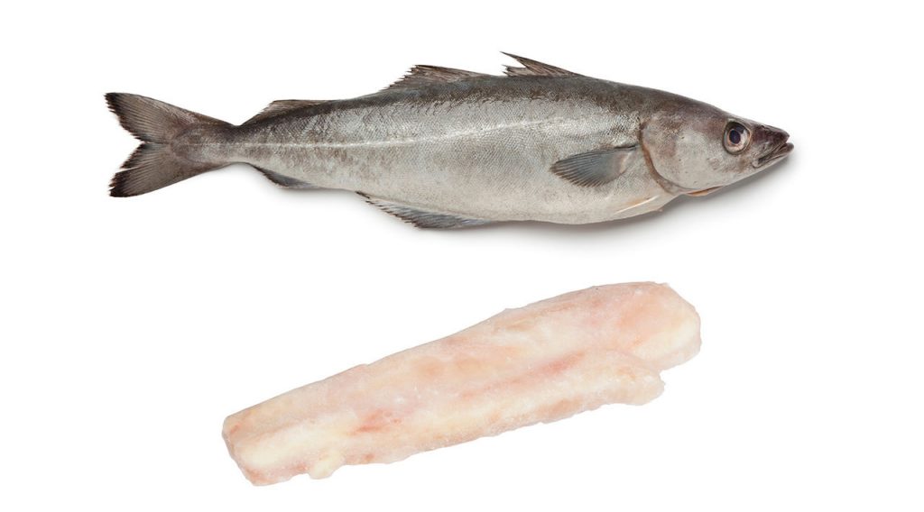 difference between pollock and haddock